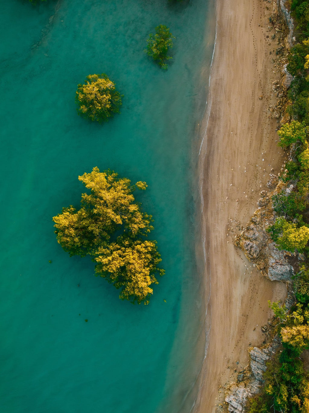 NT_0003 - Darwin, Northern Territory – Sand to Summit